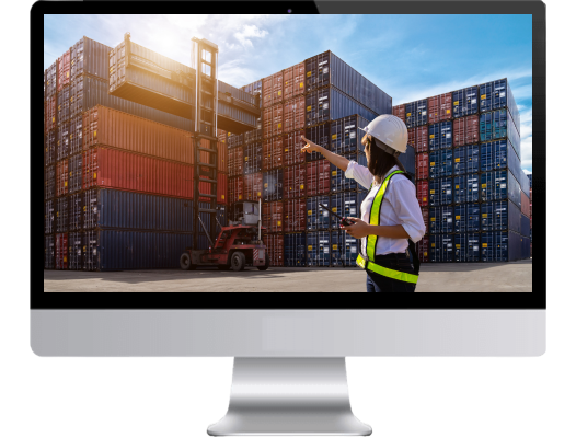 Enterprise logistics software providers | Logistics Software Systems